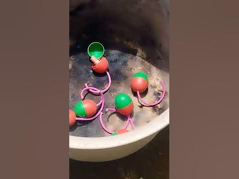 TELUR BURUNG DI DALAM PANCI. #experiment #mercon #fireworks #youtubeshorts #youtube #cake - YouTube