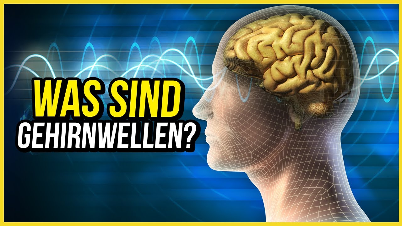 Alle Gehirnwellen erklärt (Gamma, Beta, Alpha, Delta, Theta) - YouTube