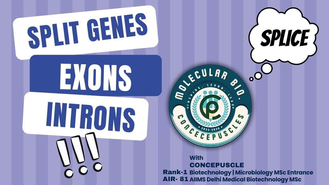Exons and Introns SPLIT GENES| Molecular Biology | IIT JAM | CSIR NET | CUET (PG) | GAT-B ...
