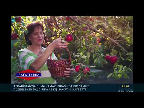 Safa Tarım Dünya Çiftçiler Günü Spot | NTV