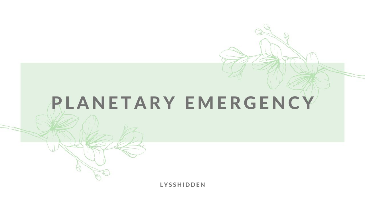 𝗧𝗔𝗟𝗞𝗜𝗡𝗚] Planetary Emergency ♡ - YouTube