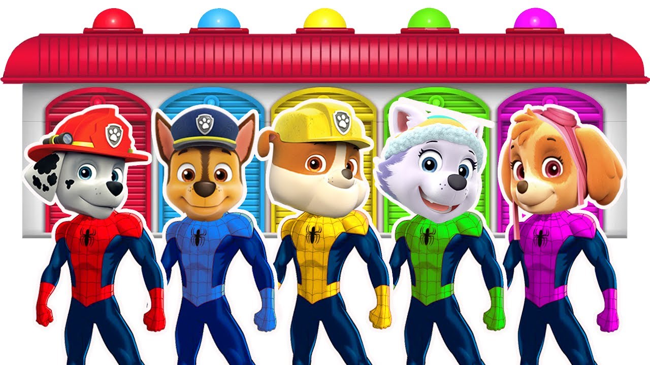 Learn Colors With Spiderman Paw Patrol Funny Videos - Learn Colors For ...
