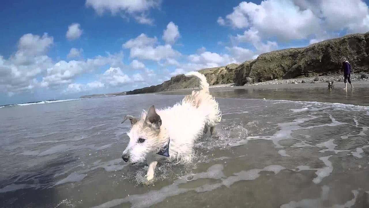 Easter Beach Run - YouTube