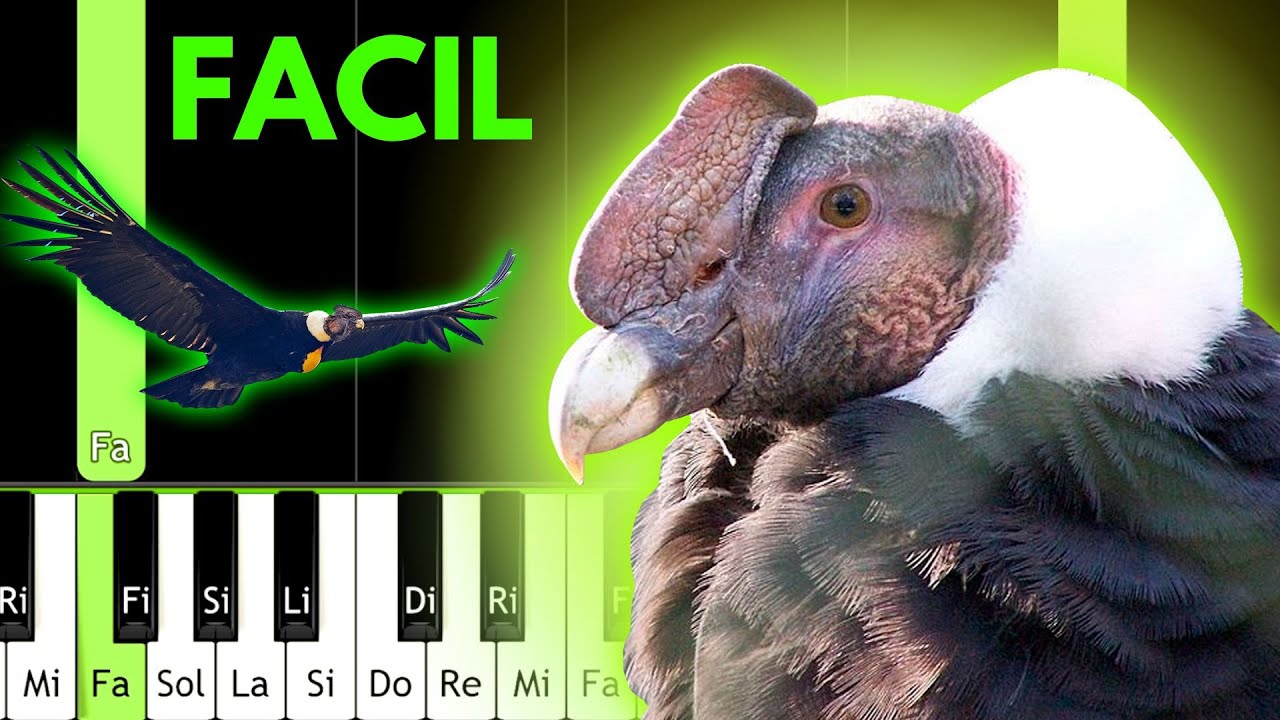 EL CONDOR PASA - Tutorial Piano - Piano Facil - Piano Condor Pasa - YouTube