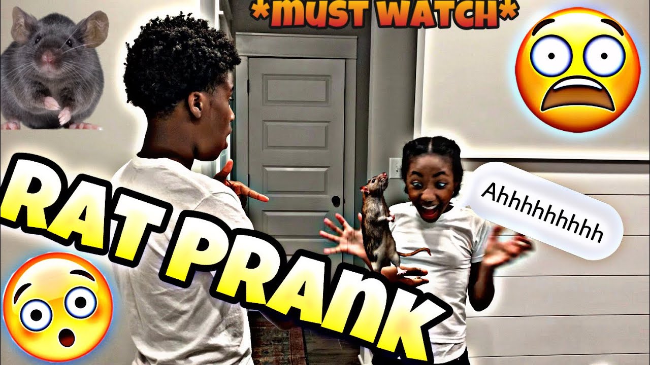 Rat Prank on @KinigraDeon @theariibabyy and more 😱😂🤣😱 - YouTube