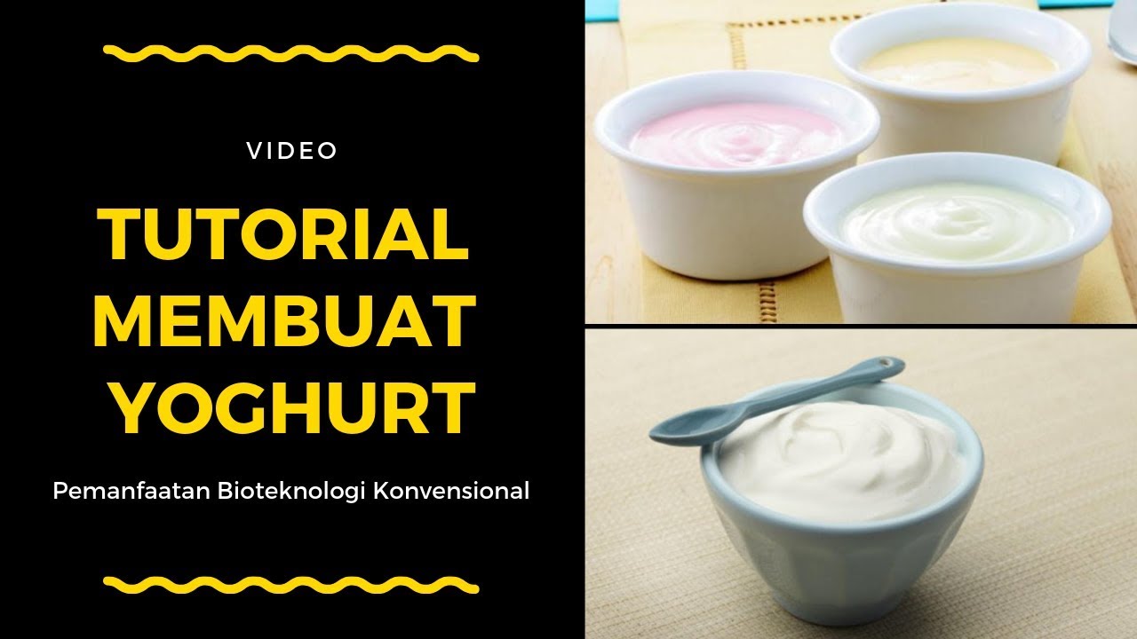 TUTORIAL MEMBUAT YOGHURT SEDERHANA | PRODUK BIOTEKNOLOGI KONVENSIONAL ...