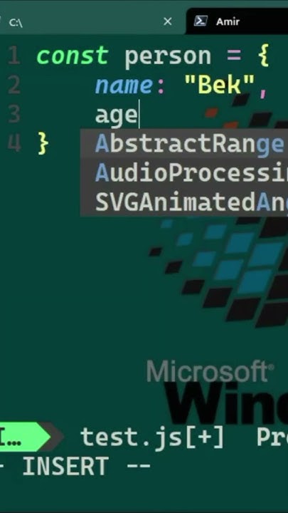 Json Vs Javascript Objects Understanding The Differences Json Javascript Windows11 Neovim