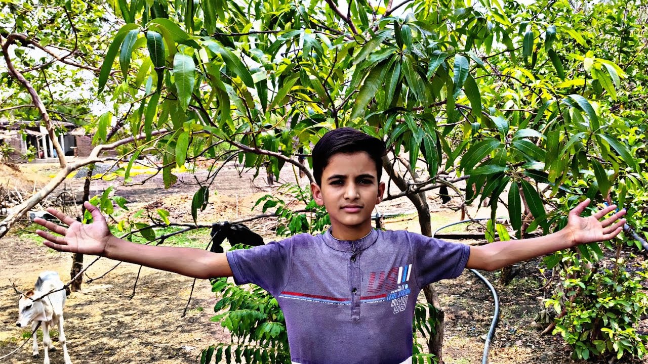 GARDEN VLOG || @krishna_meena_officiall #krishna_meena_officiall # ...