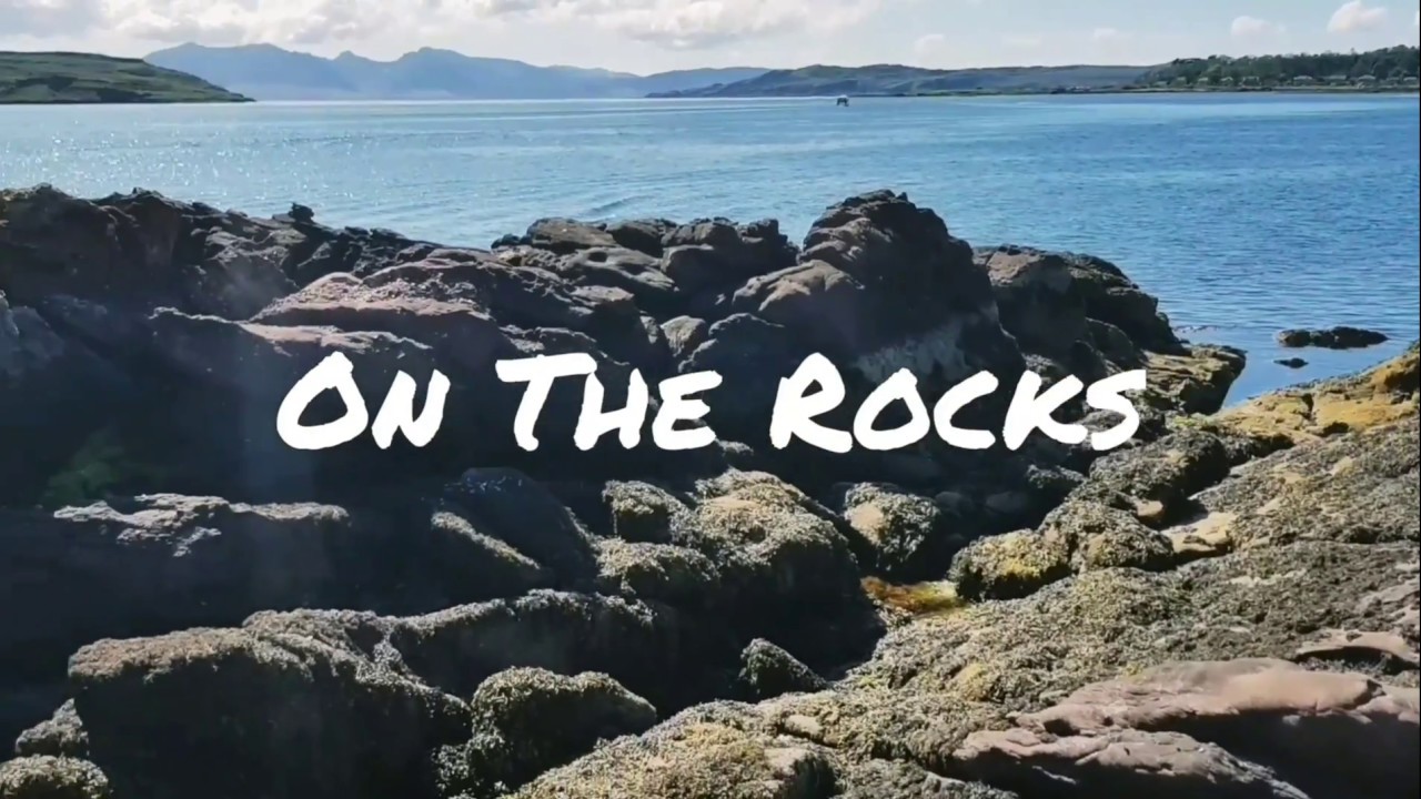 On the Rocks - Millport Rocky Shore Surveying - YouTube
