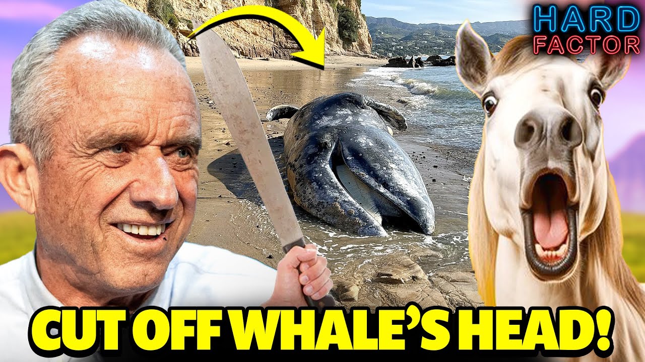 RFK Jr. Cut Off A Whale’s Head And Drove It 5 Hours Home! - YouTube