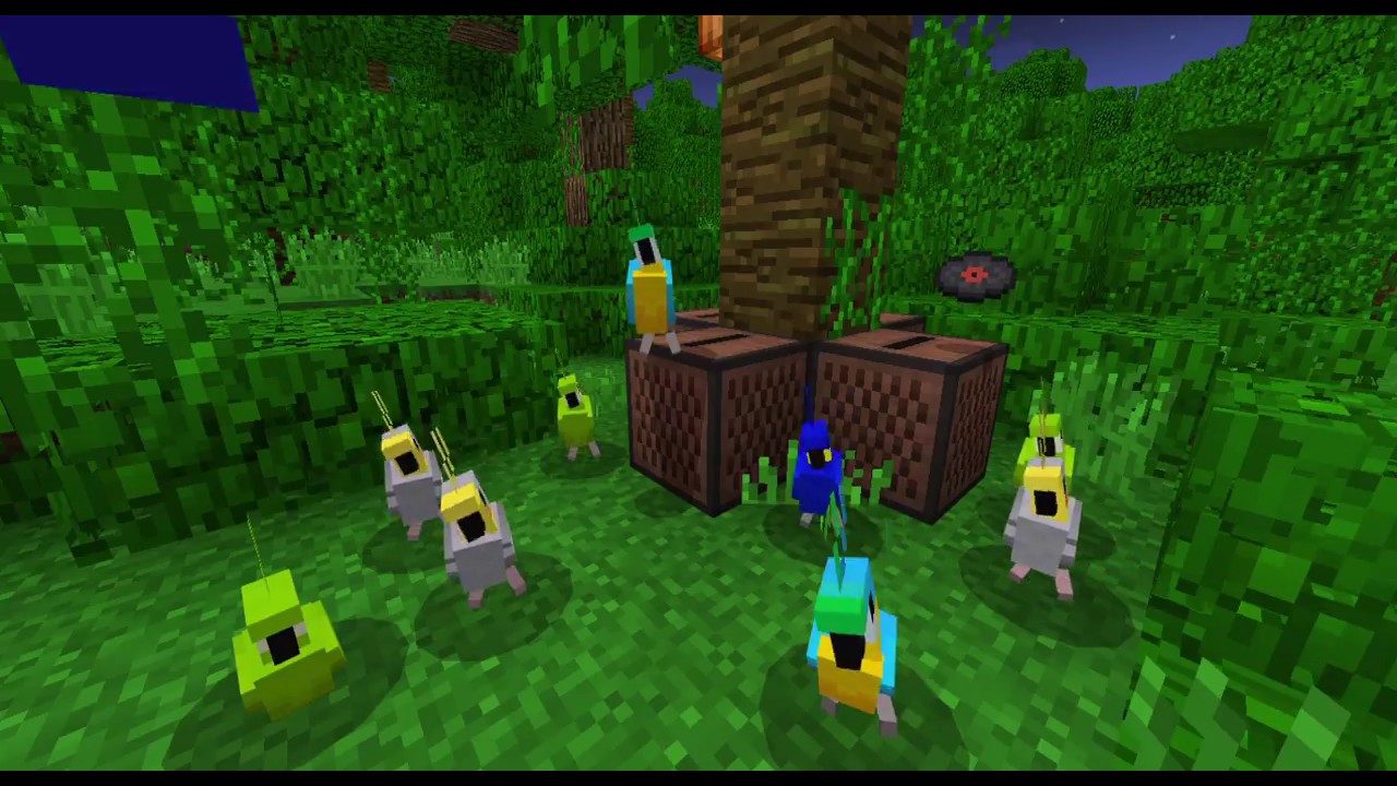 LOROS BAILANDO EN MINECRAFT - YouTube