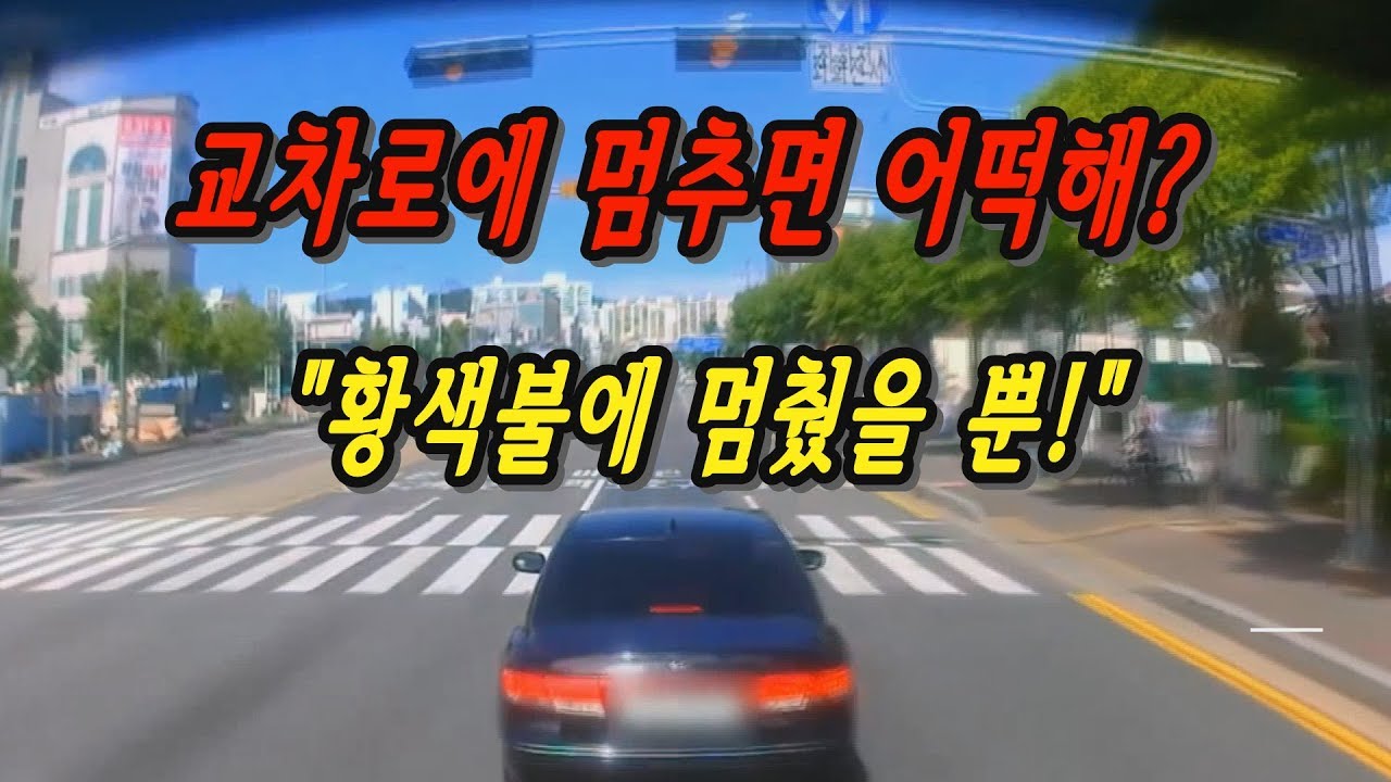 2377회 투표 정지선 직전 황색등으로 바뀌어 급제동 교차로 건너편 횡단보도에 멈춘 승용차 승용차가 계속 진행할 거로