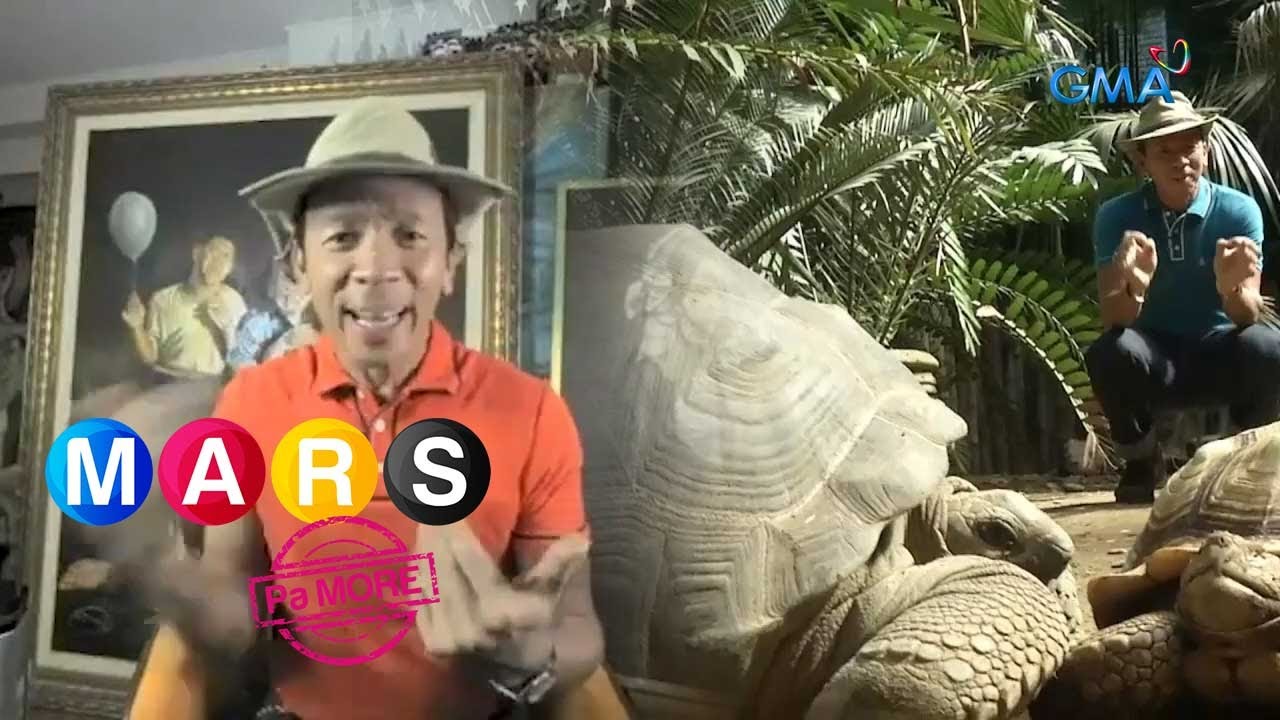 Kuya Kim, ibinida ang kanyang pagong collection! | Mars Pa More - YouTube