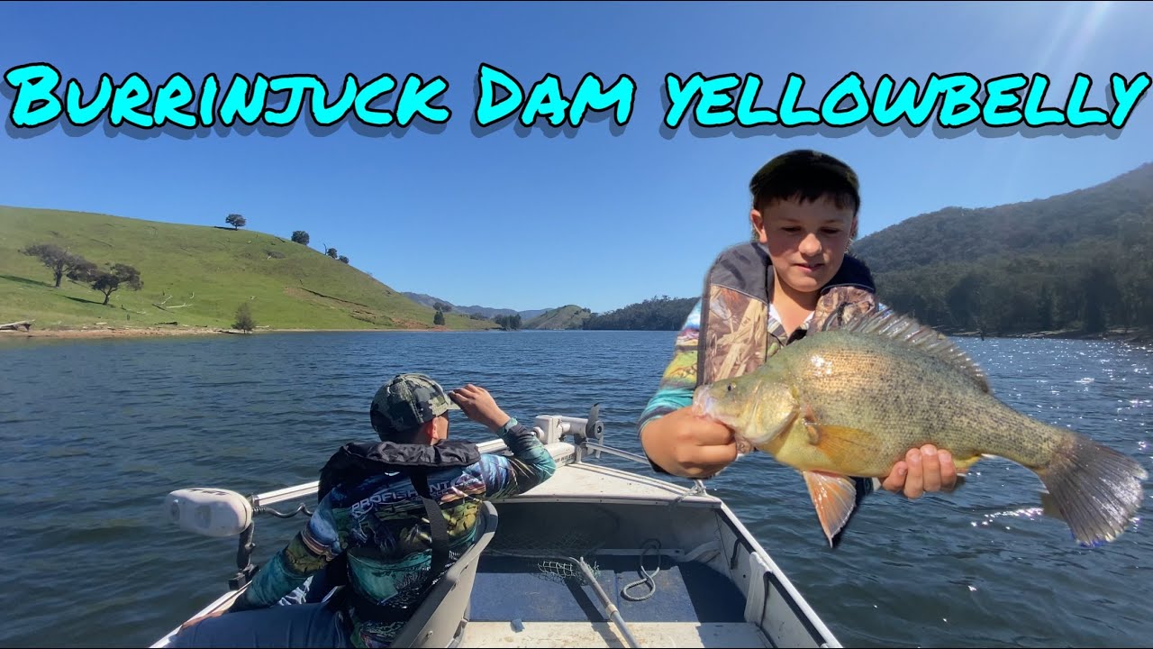 Spring Yellowbelly and Redfin at Burrinjuck Dam - YouTube