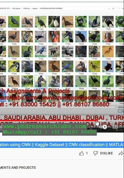 Bird Species Classification using CNN _ Kaggle Dataset _ CNN classification _ MATLAB code - YouTube