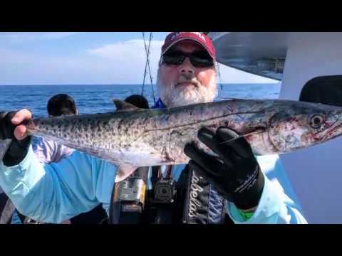 King Mackerel on a Vertical Jig - YouTube