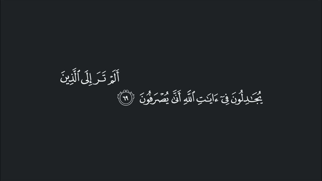 تفسير قوله تعالى {ألم تر إلى الذين يجادلون في آيات الله أنى يصرفون