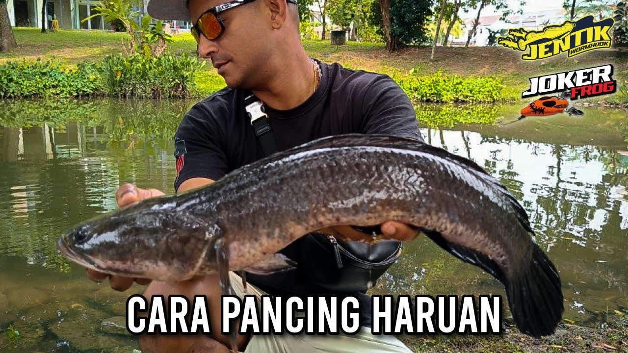 CARA MANCING HARUAN - YouTube