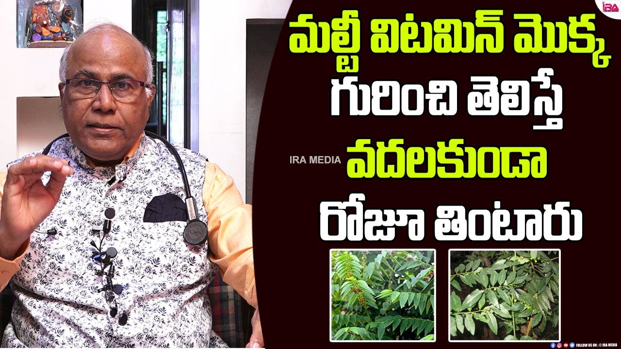 మల్టీ విటమిన్ మొక్క తో ఇన్ని ప్రయోజనాలా | Uses Of Multivitamin Plant ...