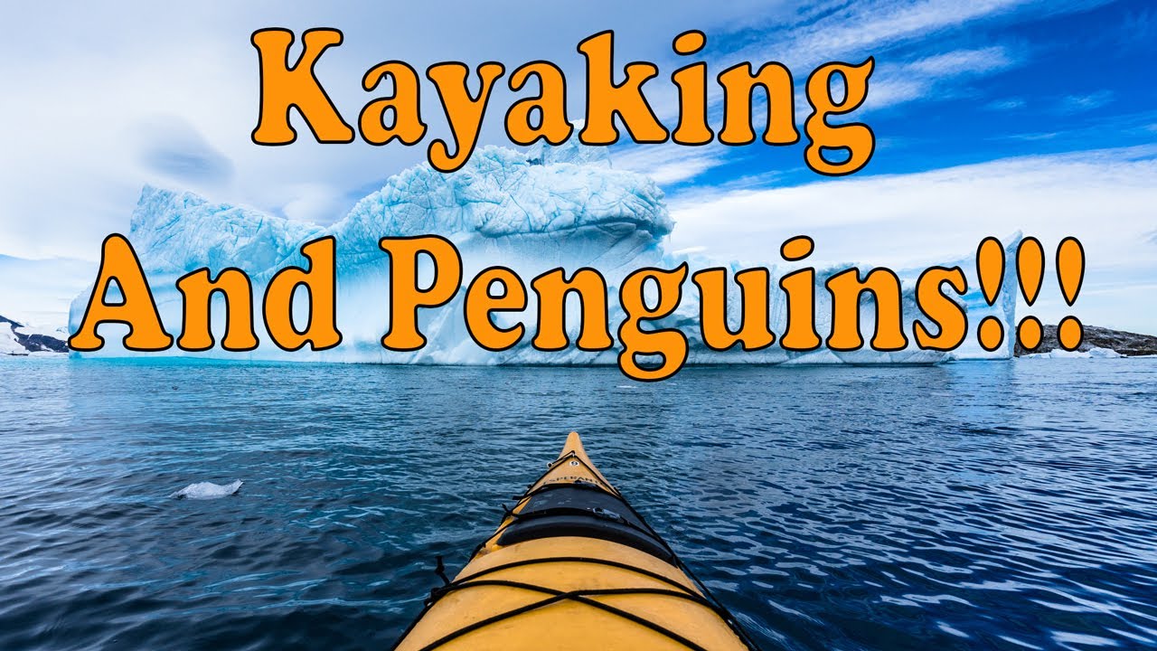SEA KAYAKING IN ANTARCTICA! Watch Out For Icebergs - Antarctica Vlog ...