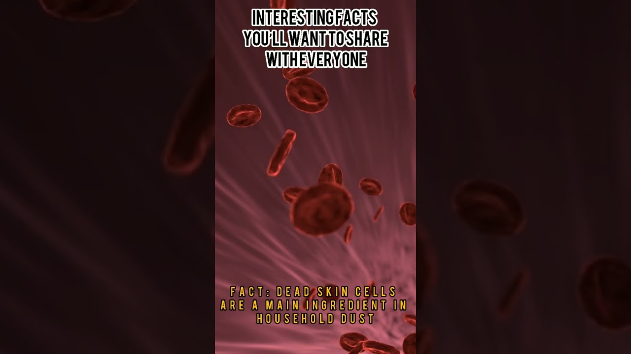 Dead skin cells are a main ingredient in household dust - YouTube