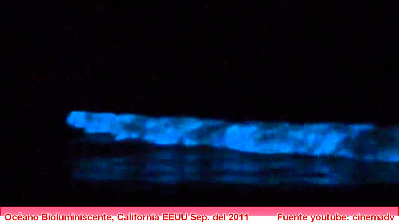 Marea Olas Azules San Diego, California EEUU Septiembre del 2011 - YouTube