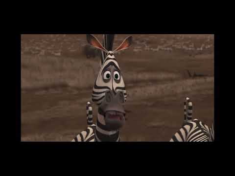 Madagascar Escape 2 Africa 2008 Alex 🦁 Meets Two Marty The Zebras 🦓 🦓 ...