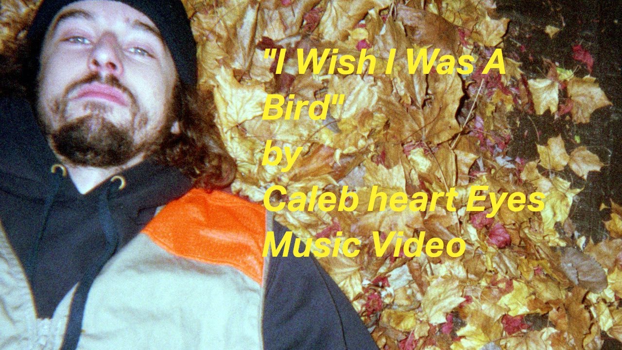 "I Wish I Was A Bird" - Caleb Heart Eyes 😍 (music video) - YouTube