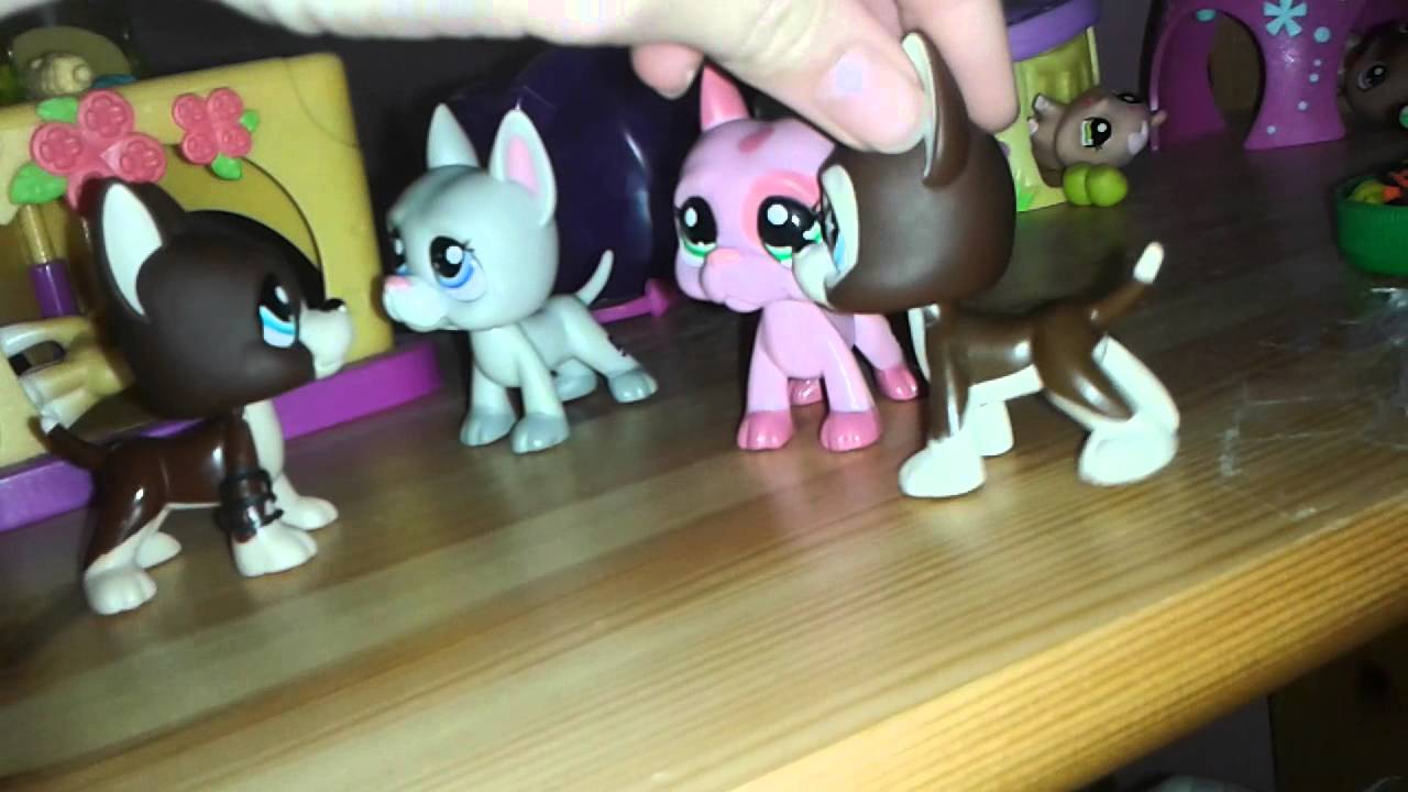 Tom a Pinky (Nový LPS V meste) 19 - YouTube