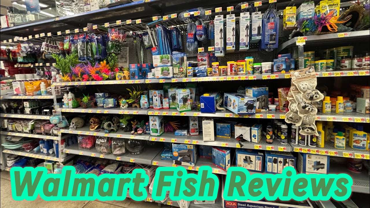 Walmart Fish Gear Reviews - YouTube