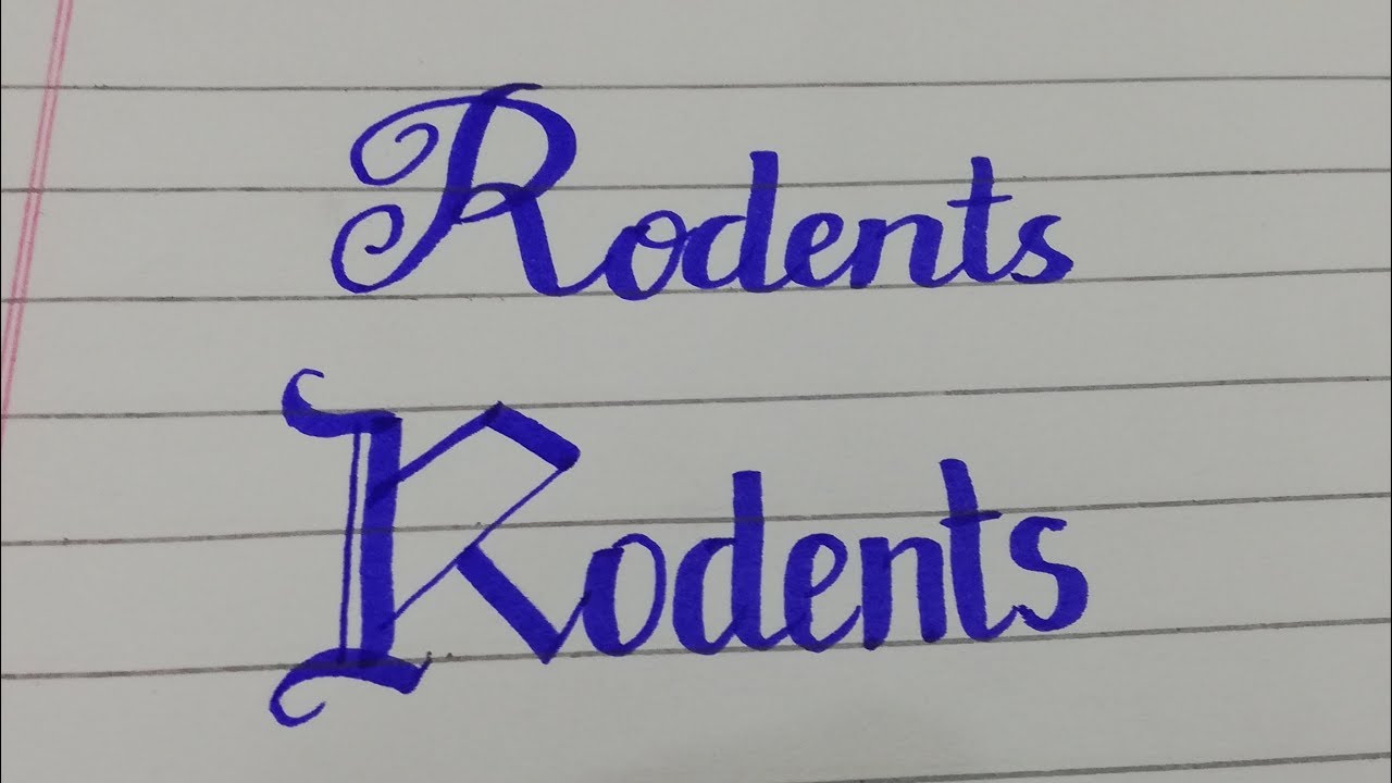 Two Ways To Write R In Different Styles YouTube Two Ways To Write R In Different Styles YouTube