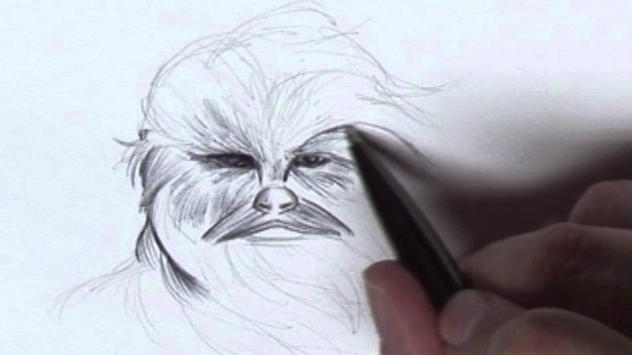 Draw A Realistic Wookiee - YouTube