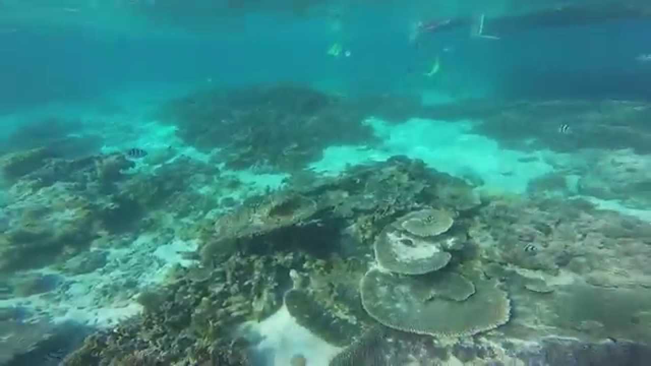 Snorkeling at Poste de Flacq, Mauritius - YouTube