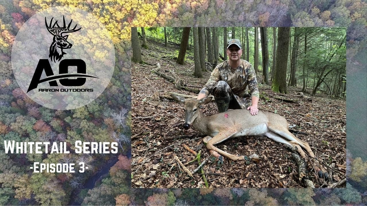 Whitetail Doe Bow Kill: Aaron Outdoors - YouTube