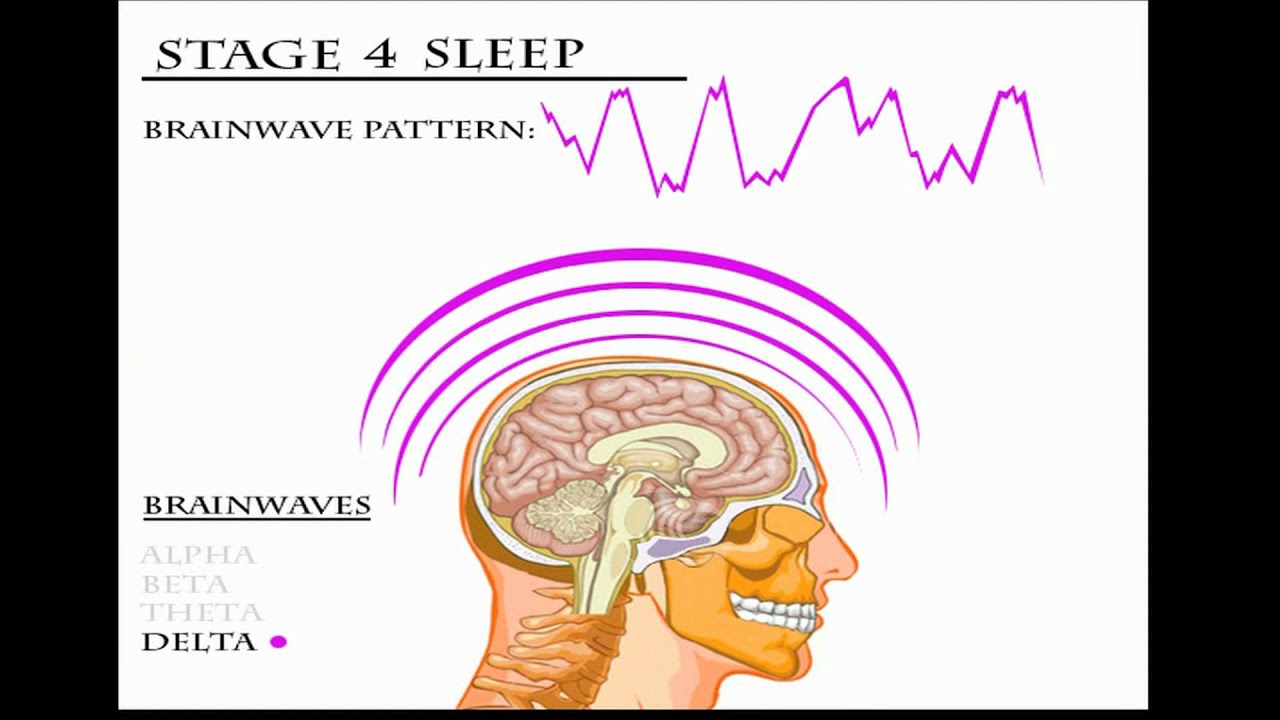 REM Sleep Aspects - YouTube