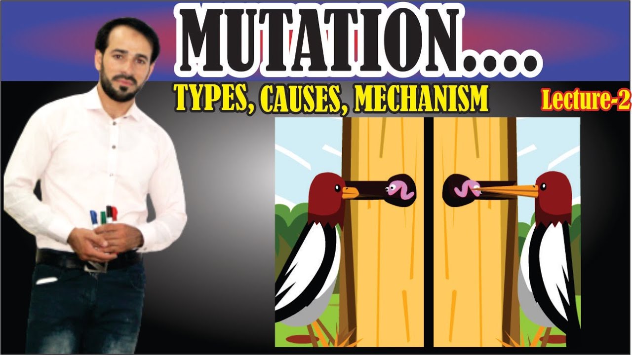What is Mutation? | Causes of Mutation | History Of Mutation | Biology ...