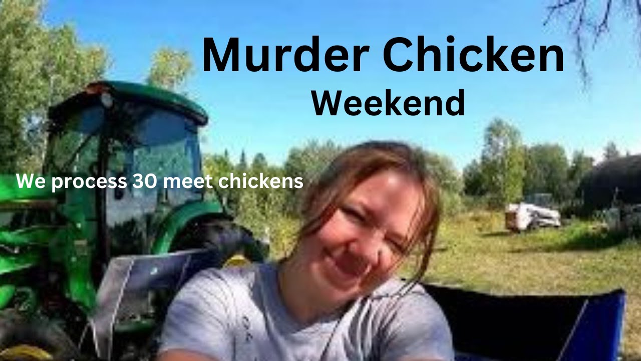 murder chicken weekend Episode 1-19 - YouTube