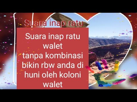 suara inap ratu walet - YouTube