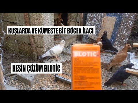 KUŞLARDA VE KÜMESTE BİT İLACI KULLANIMI