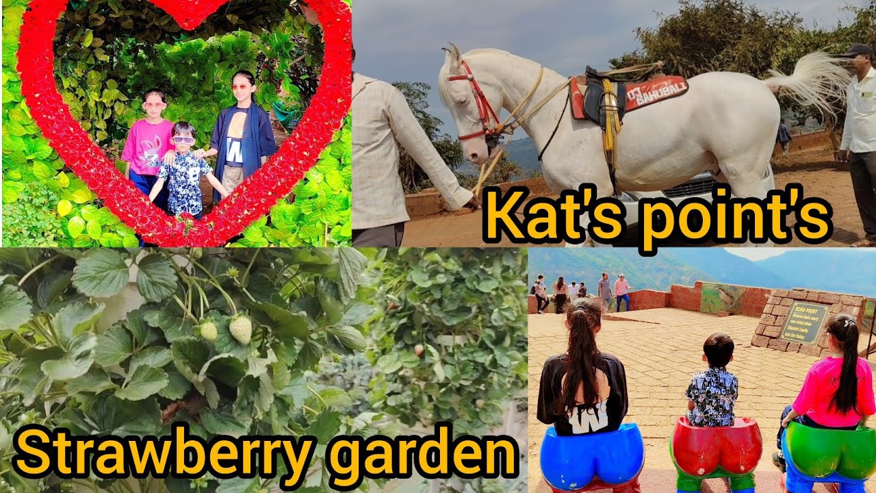 Elephant's Head Point | Kate's Point Strawberry🍓 garden | Mahableshwar ...