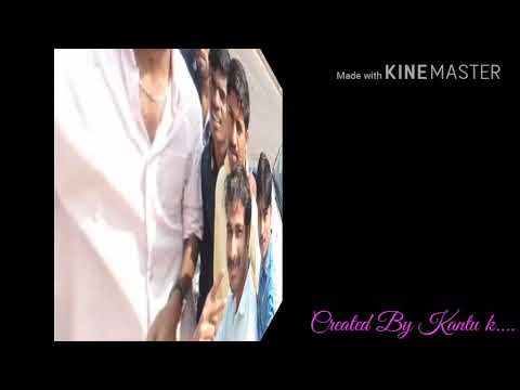 Kdm bull's New star boy's