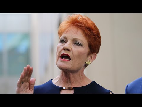‘Don’t write me off’: Pauline Hanson vehemently rules out retirement