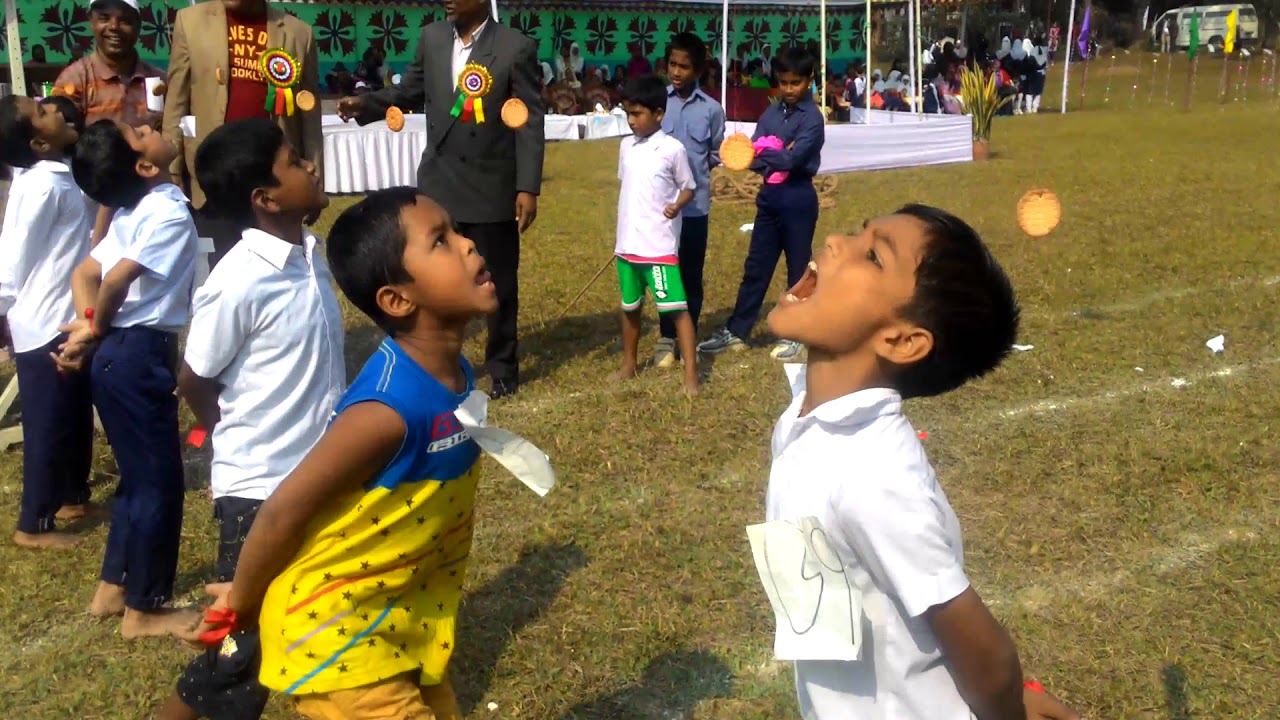 BEST RACE IN EVER ON EARTH BISCUIT RACE - YouTube