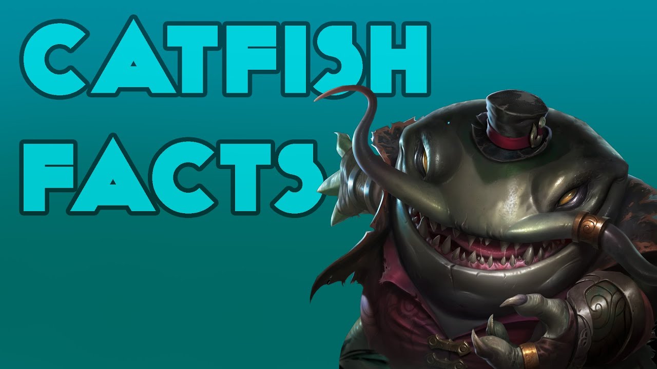 Catfish facts - League of legends - YouTube