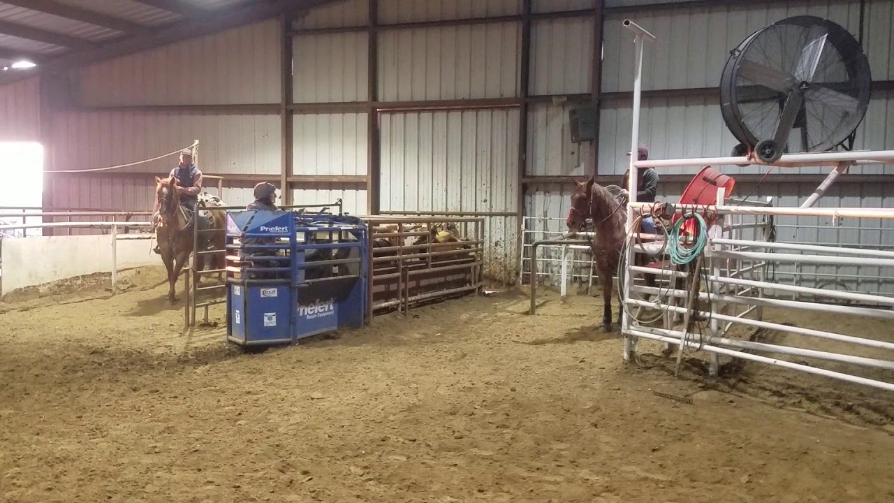 February 4, 2019 - YouTube