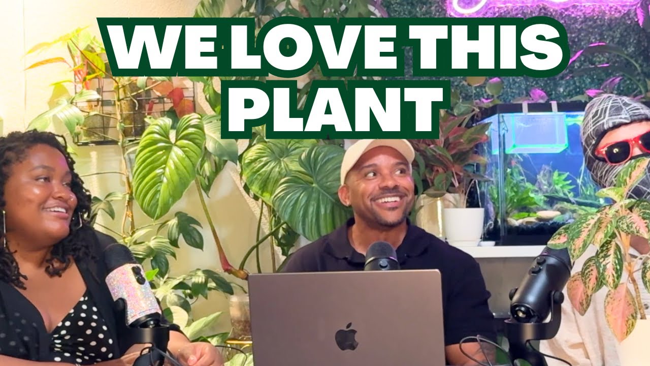 Think 'Basic' Plants Are Boring? Think Again / Cultivation Corner ...