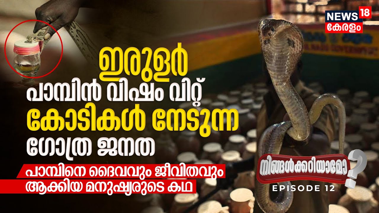 Ningalkkariyamo? Irula Tribe Snake Catchers, പാമ്പിൻ വിഷം വിറ്റ്‌ കോടിക ...