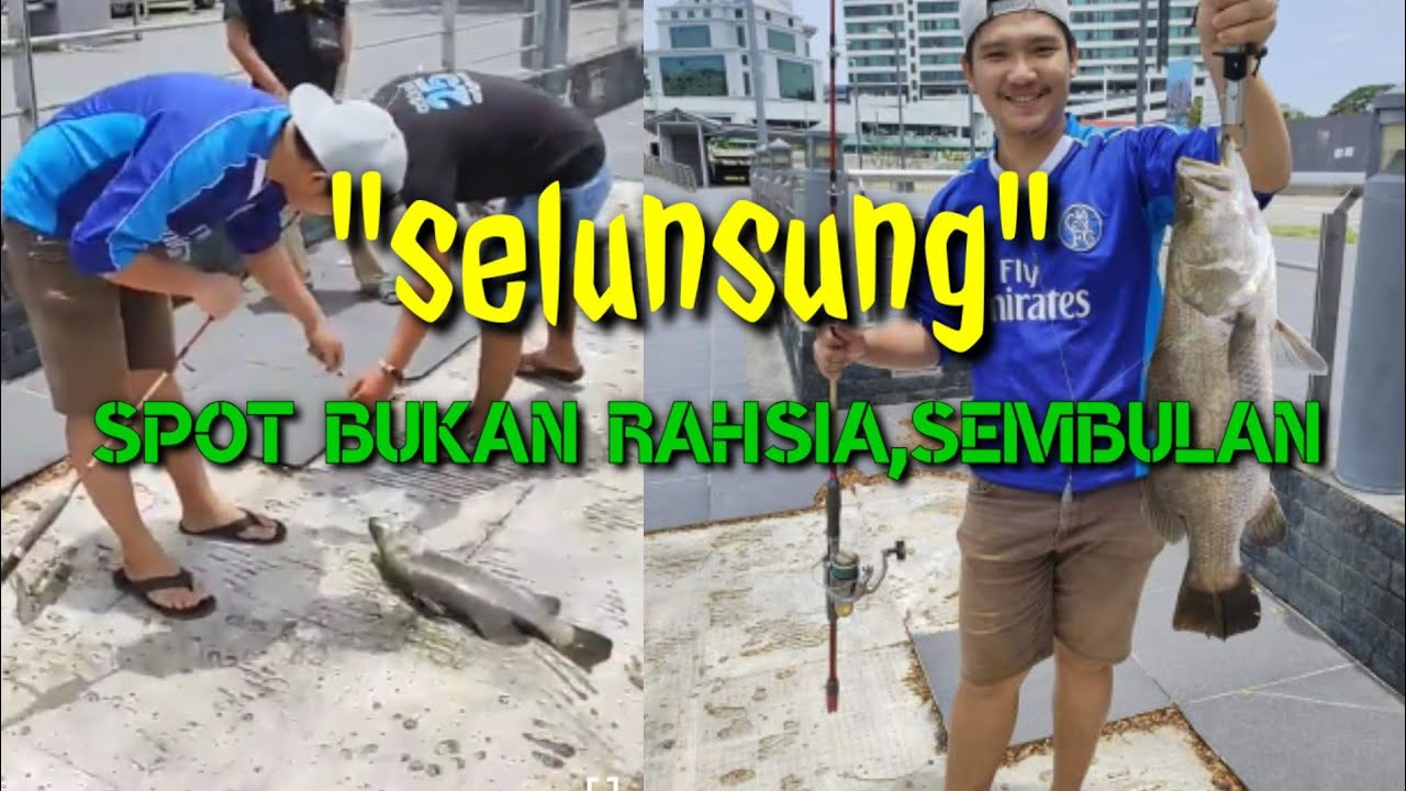 #spotviral parit sembulan strike ikan selunsung - YouTube
