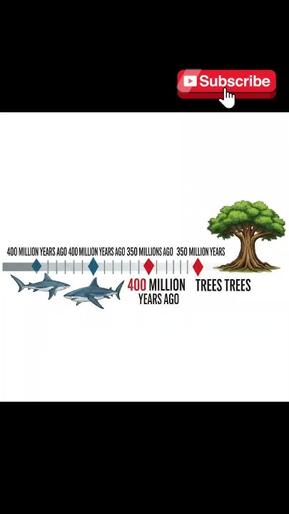 Sharks & Trees| #brainrot #facts #shorts #funny #instagram #reels #like #art - YouTube