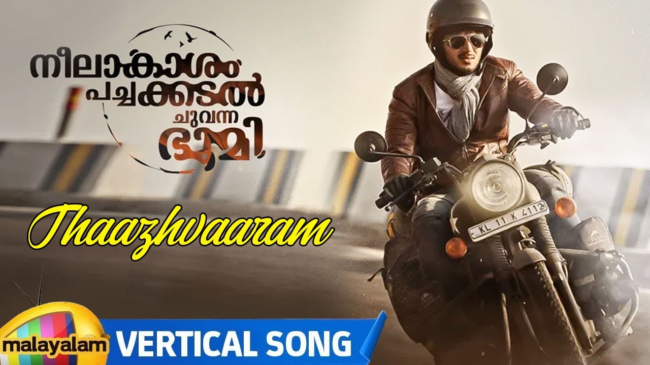 Neelakasham Pachakadal Chuvanna Bhoomi Helmets